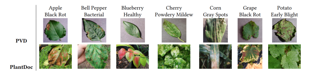 Computer Vision in Agriculture: Boosting Productivity and Yields